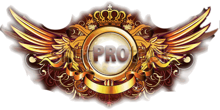 professional services by professionals to professionals